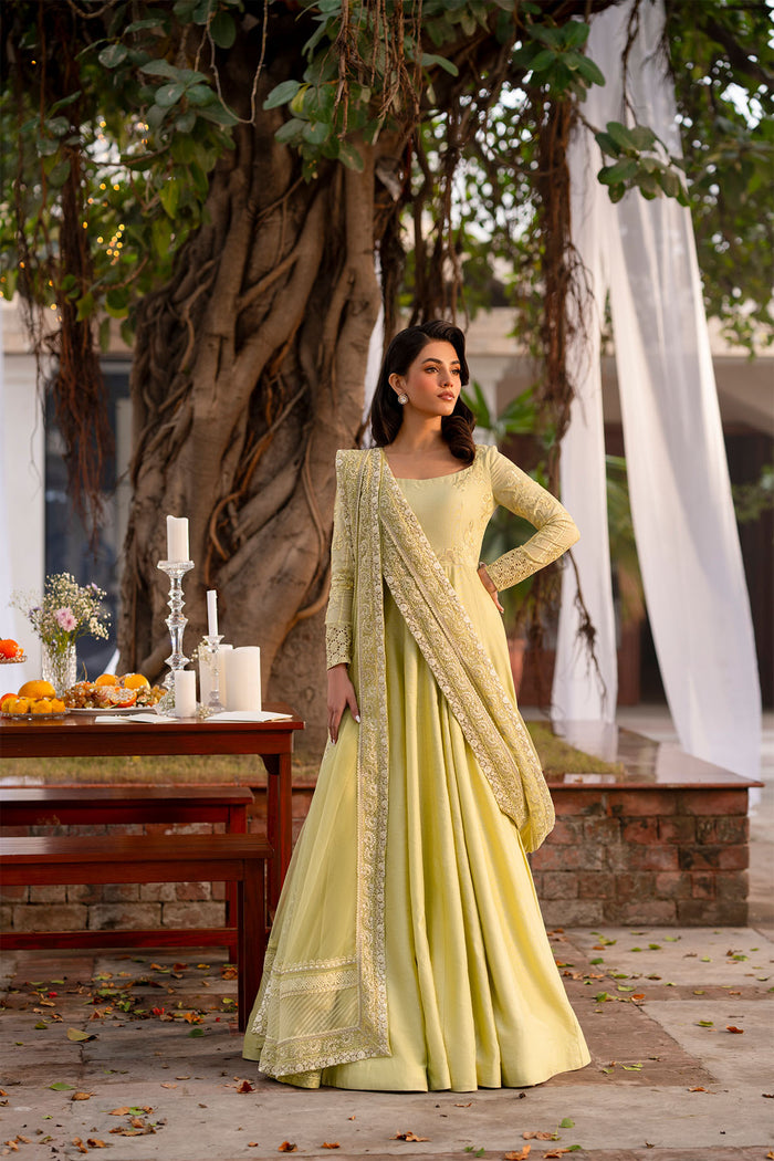 Bridal and Formal Dresses Collection | Zuria Dor