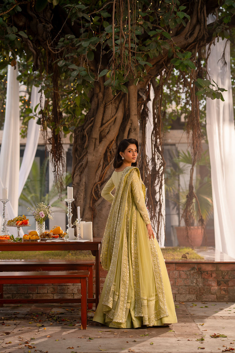 Bridal and Formal Dresses Collection | Zuria Dor