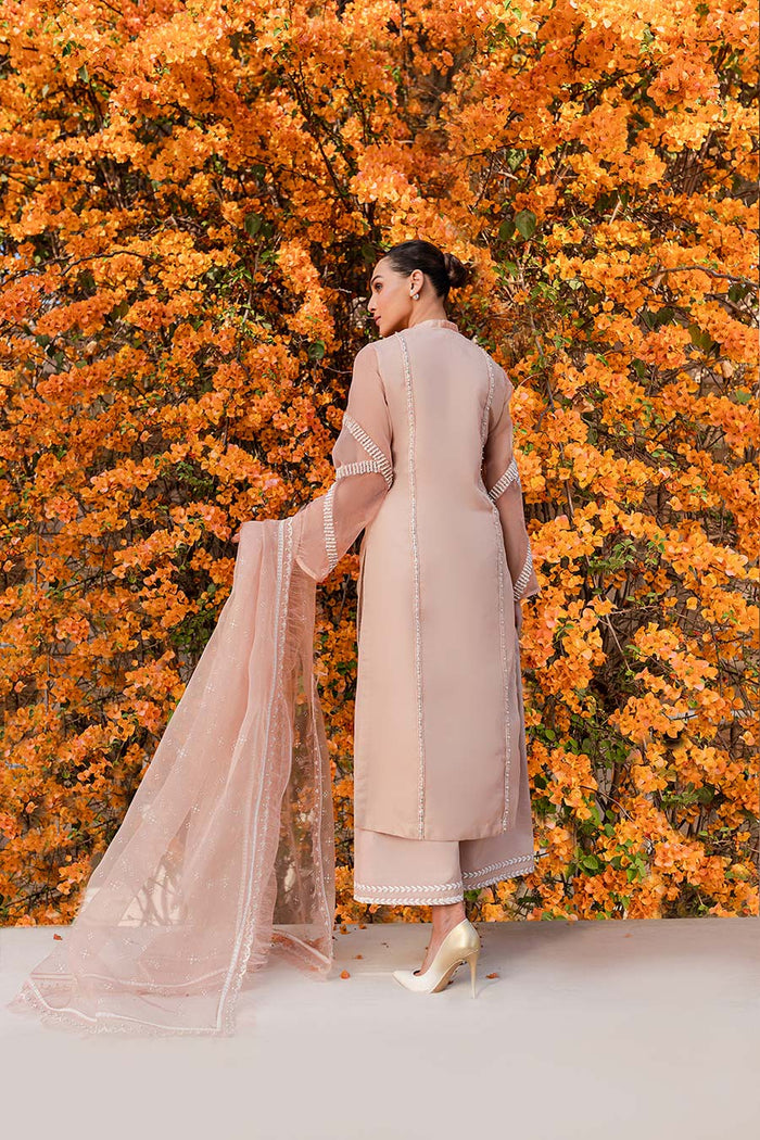 Festive Wear Collection | Zuria Dor